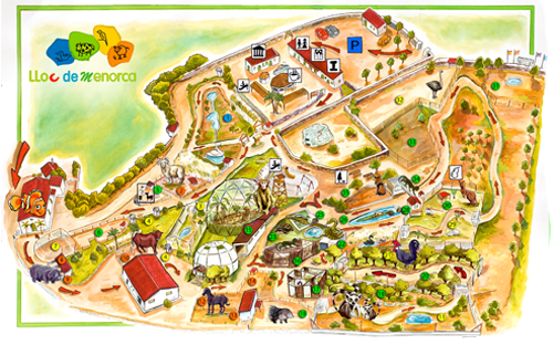 Zoo - Menorca Scooter Veleih Mobilitaet